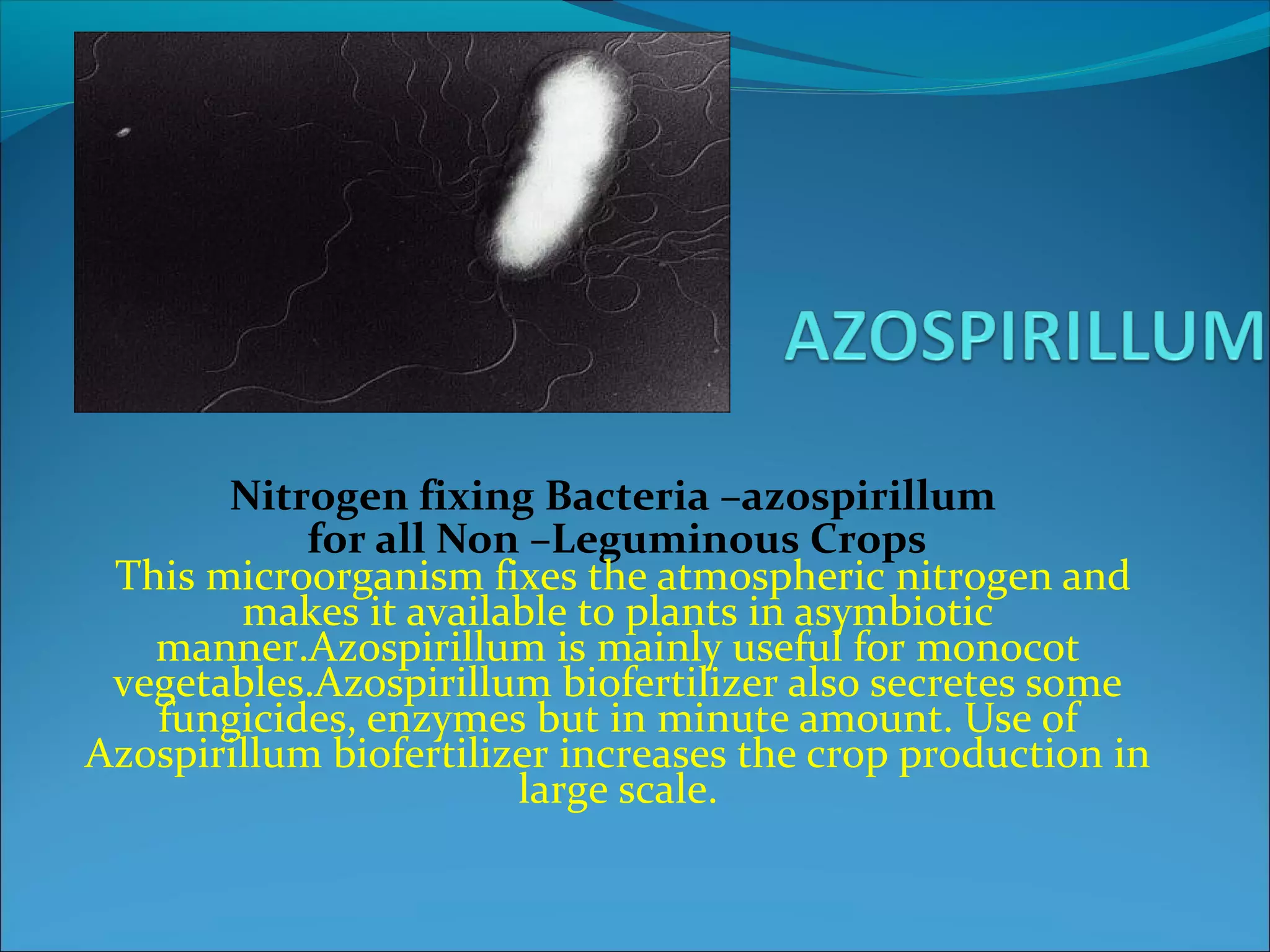 Production of Biofertilizers | PPT