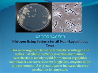 Production of Biofertilizers | PPT