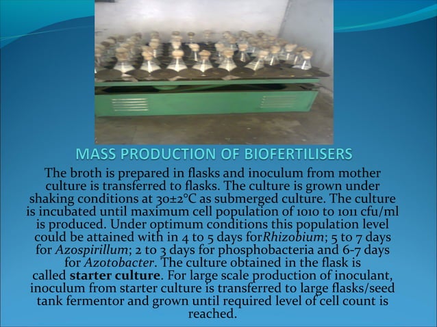Production of Biofertilizers | PPT