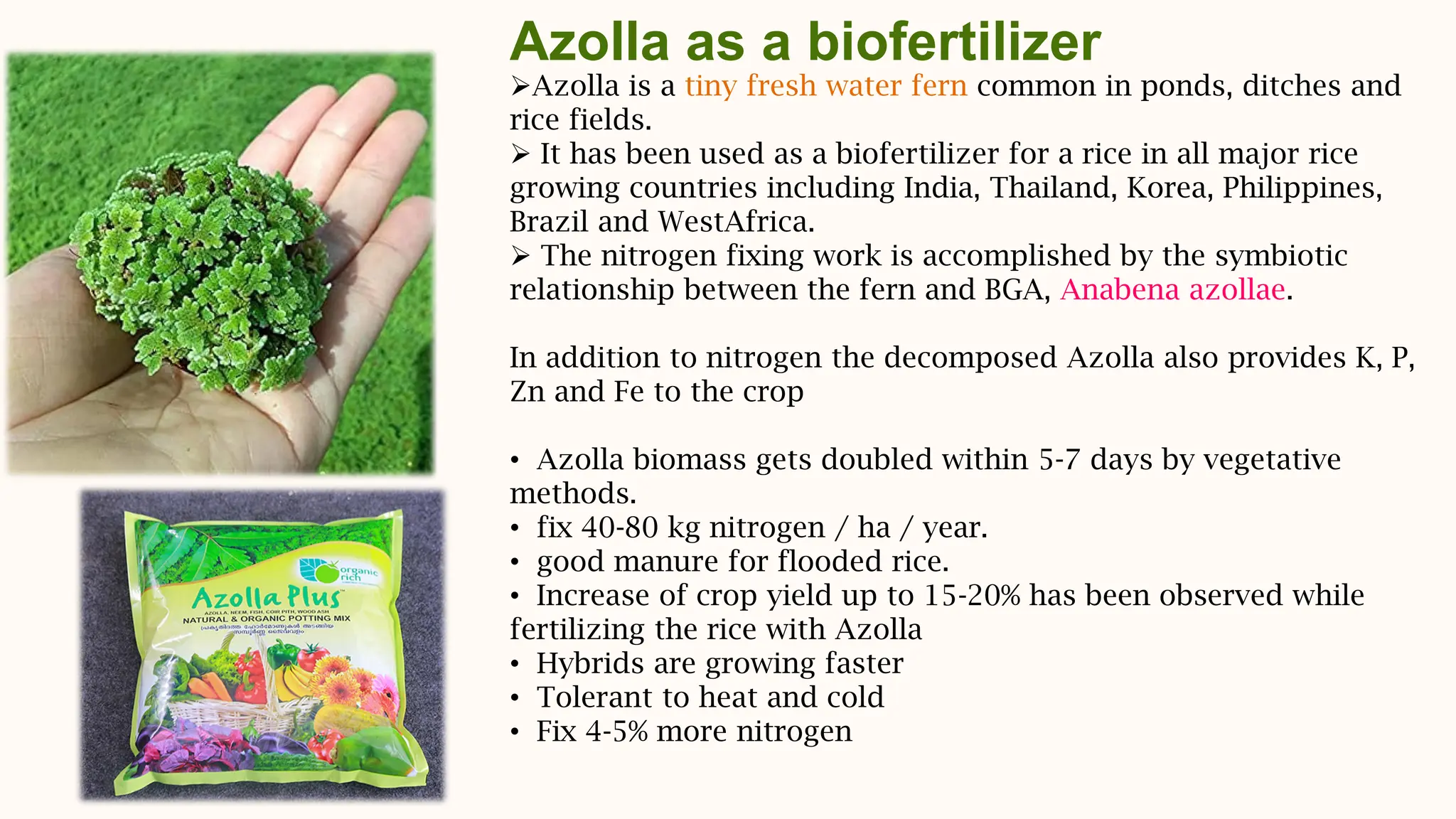 Biofertilizers and Biopesticides : Mechanism,Types | PDF