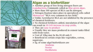 Biofertilizers and Biopesticides : Mechanism,Types | PDF