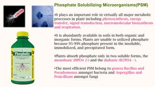 Biofertilizers and Biopesticides : Mechanism,Types | PDF