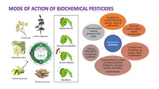 Biofertilizers and Biopesticides : Mechanism,Types | PDF