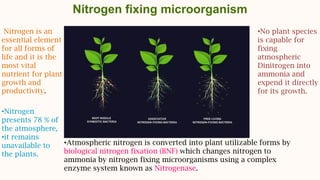 Biofertilizers and Biopesticides : Mechanism,Types | PDF