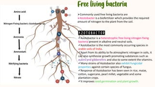 Biofertilizers and Biopesticides : Mechanism,Types | PDF