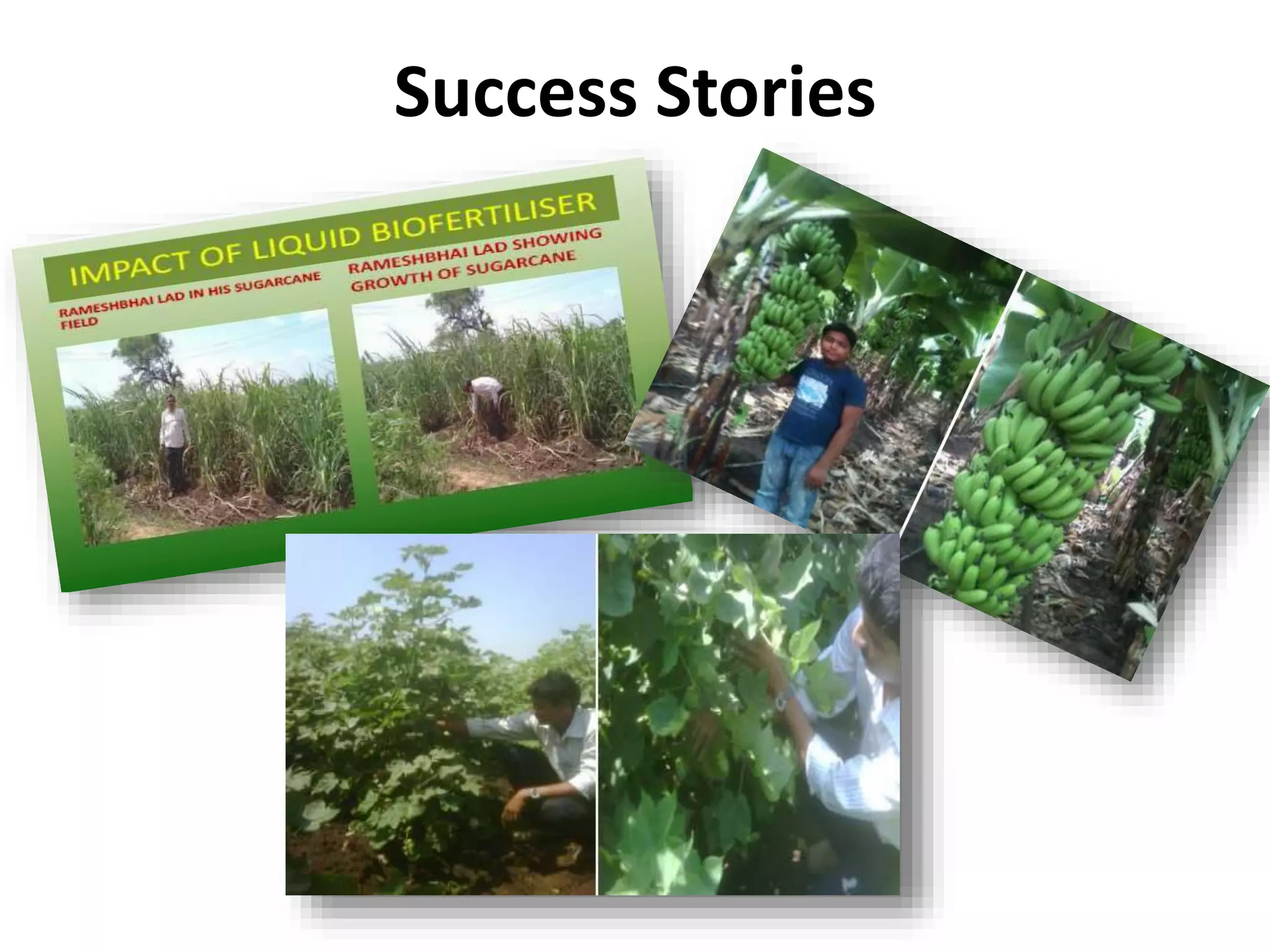 Biofertilizers and its importance in Agriculture.pptx