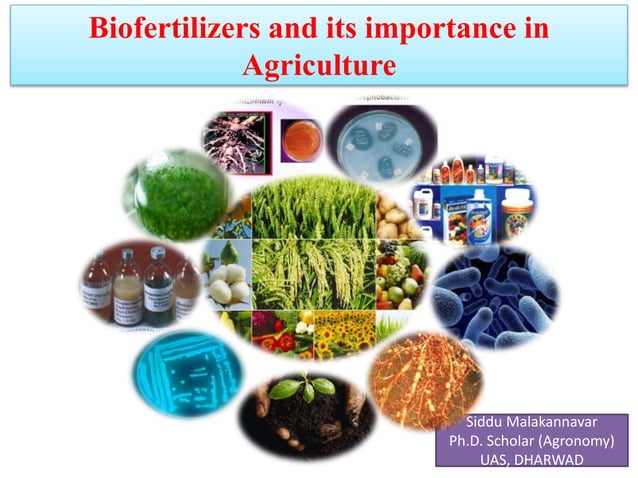 Biofertilizers and its importance in Agriculture.pptx | Agriculture | Industries