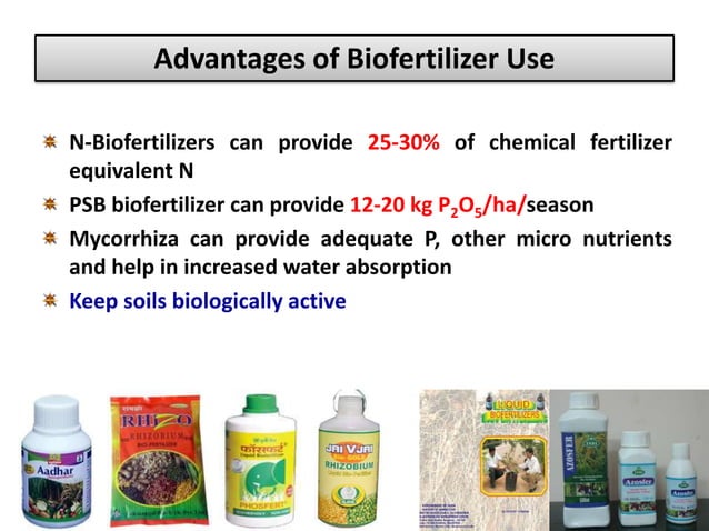 Biofertilizers and its importance in Agriculture.pptx | Agriculture | Industries