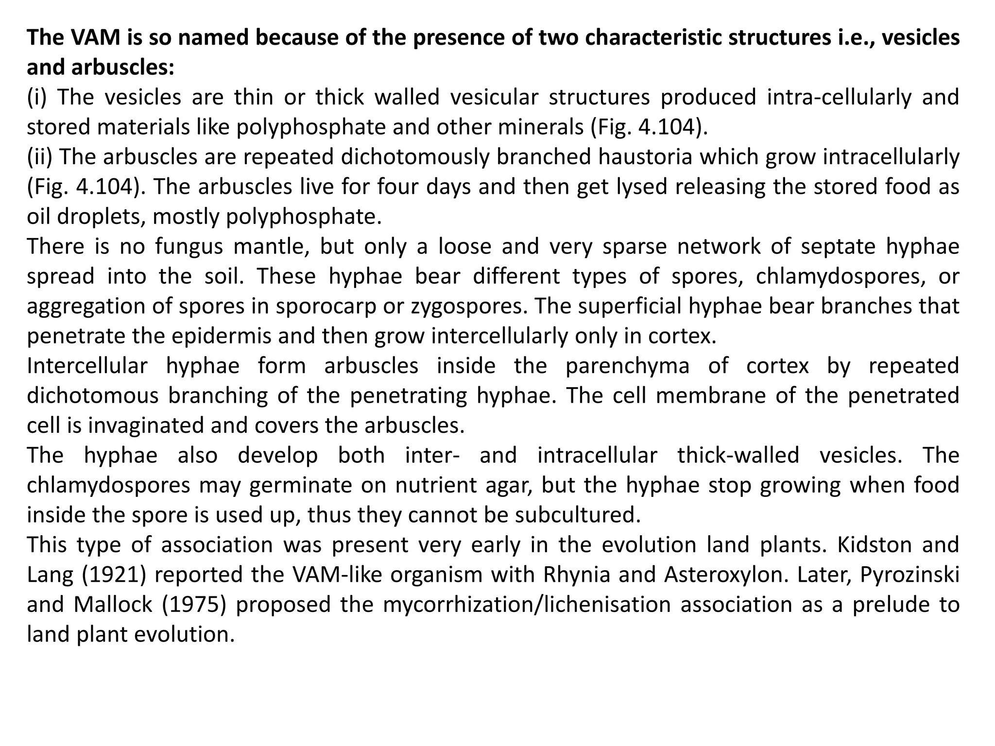 Biofertilizers and mycorryza | PPTX
