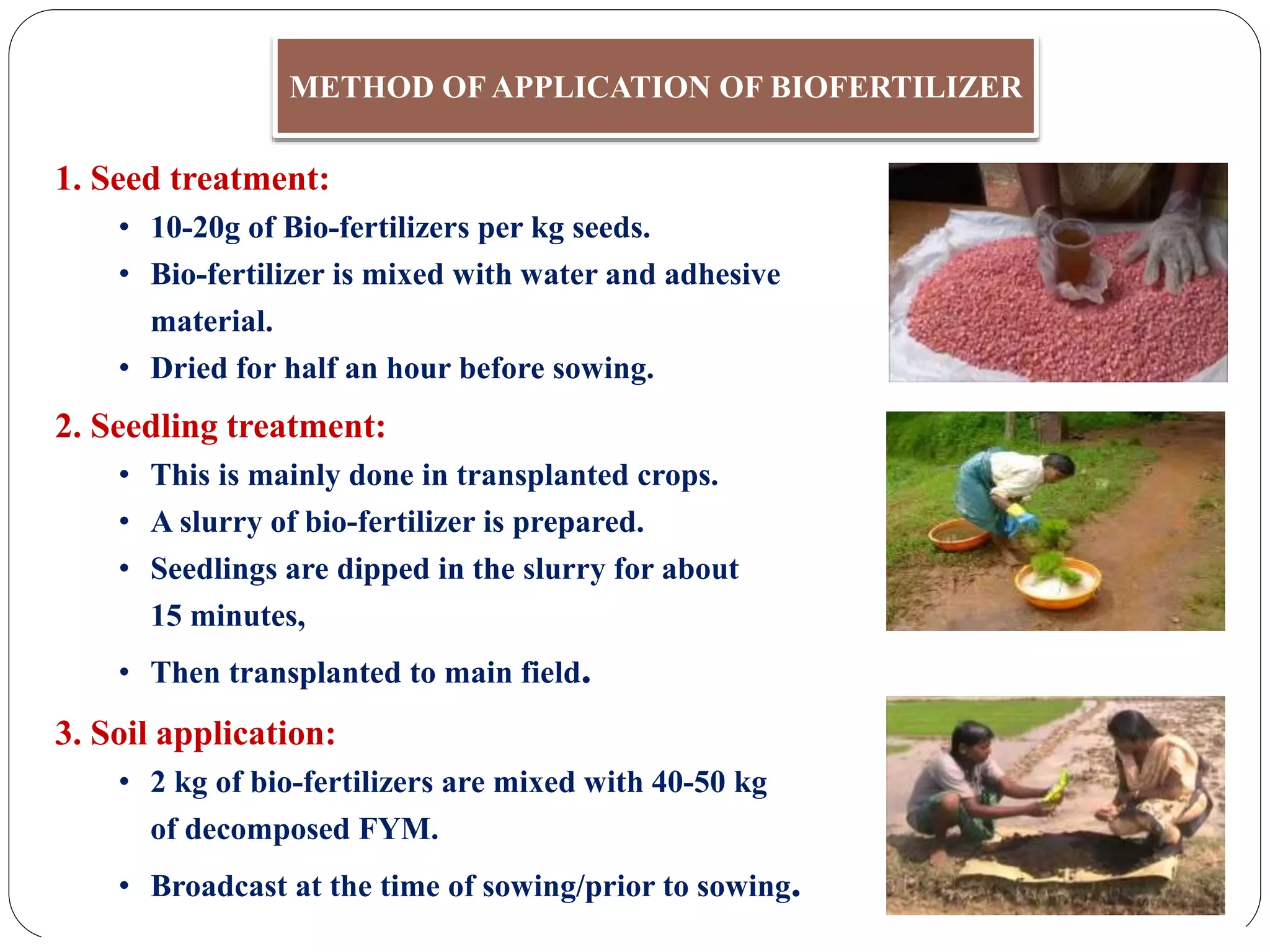Biofertilizers and their role (india) | PPTX