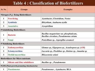 Biofertilizers and their role (india) | PPTX