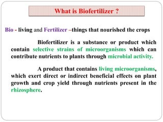 Biofertilizers and their role (india) | PPTX
