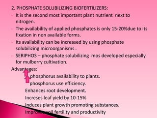 BIOFERTILIZERS FOR MULBERRY.pptx