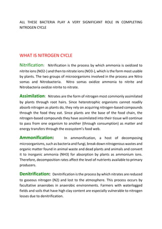 Biofertilizers | PDF