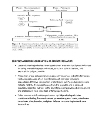 Biofertilizers pdf | PDF