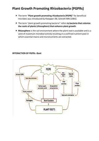 Biofertilizers pdf | PDF