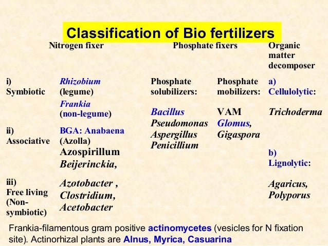 Biofertilizers pk mani