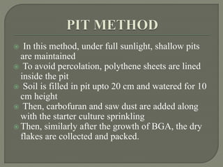 Biofertilizers ppt | PPTX