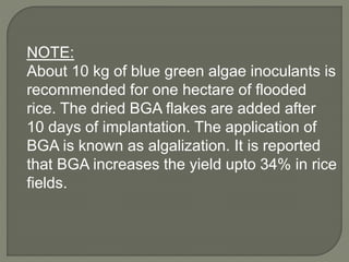 Biofertilizers ppt | PPTX