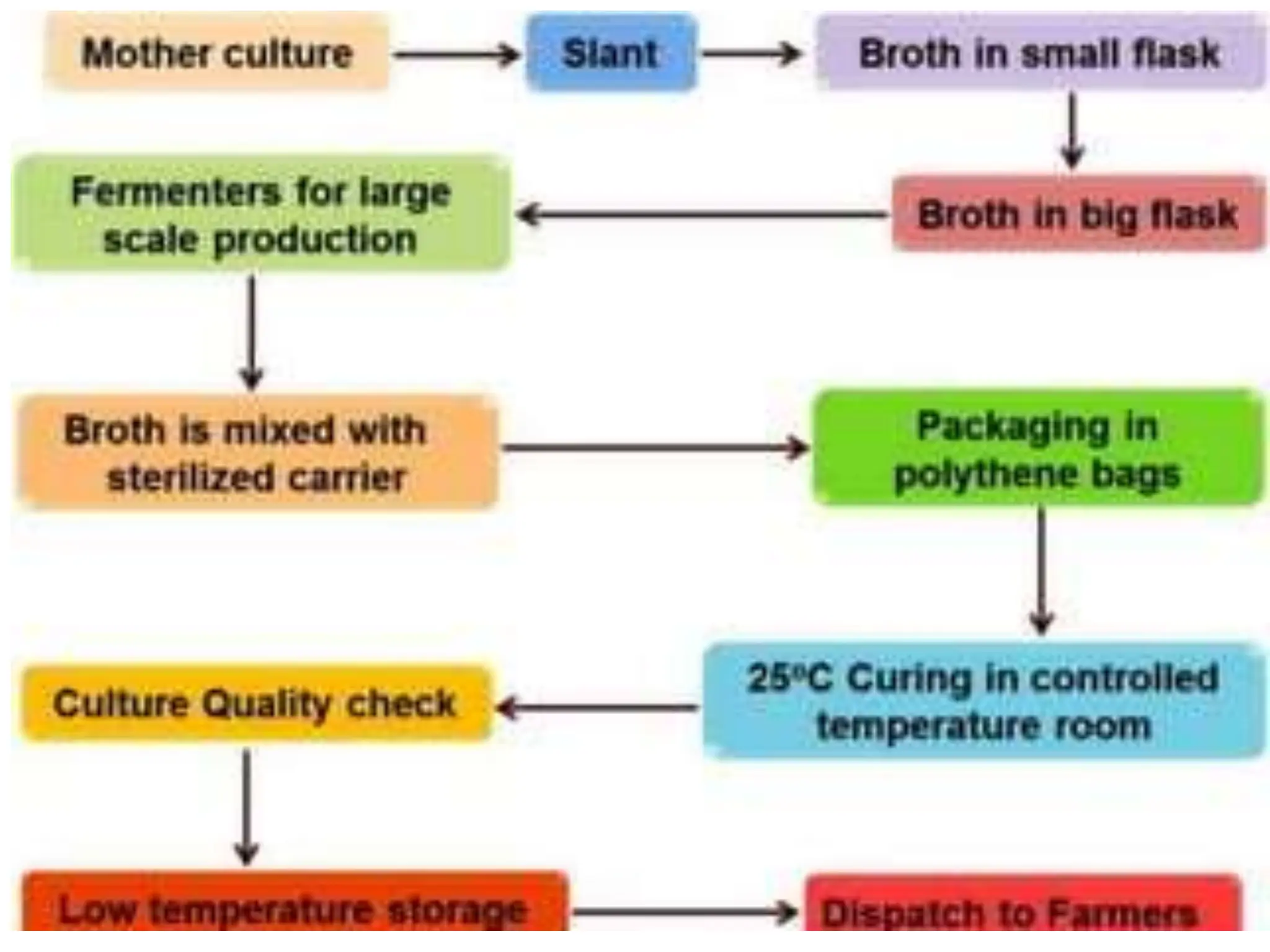 Biofertilizers ppt.pptx | Agriculture | Industries