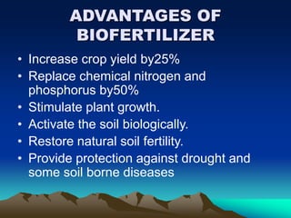 Biofertilizers increases prodactivity_PPT.ppt