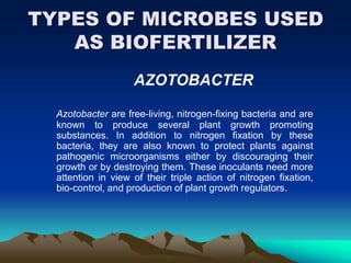 Biofertilizers increases prodactivity_PPT.ppt