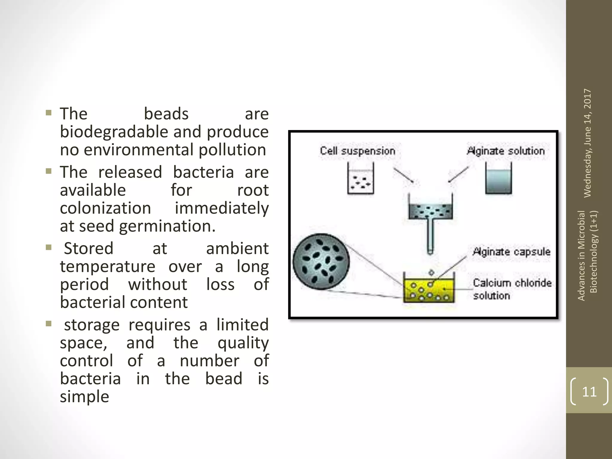 Biofertilizers production and their applications | PPTX
