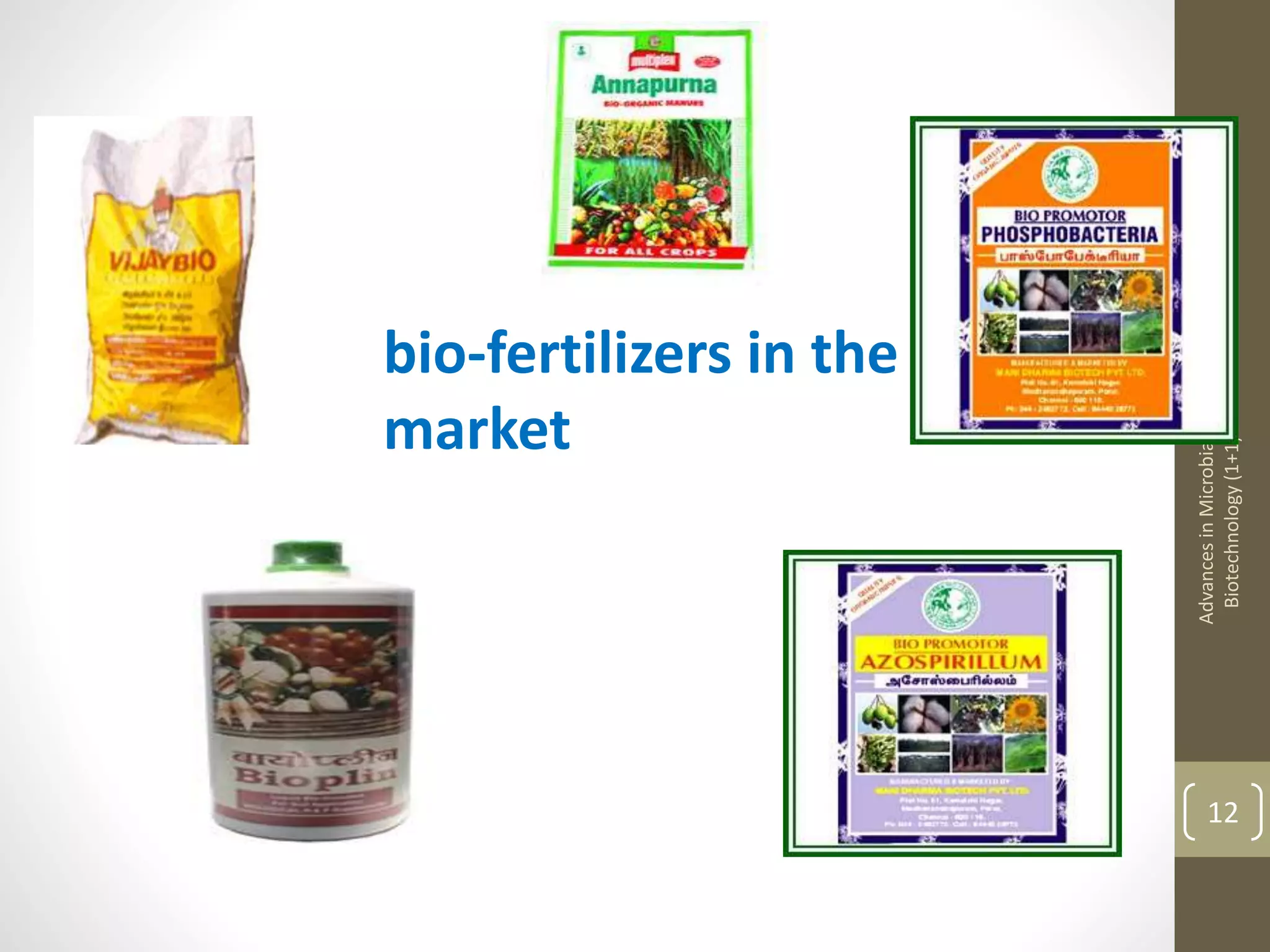 Biofertilizers production and their applications | PPTX