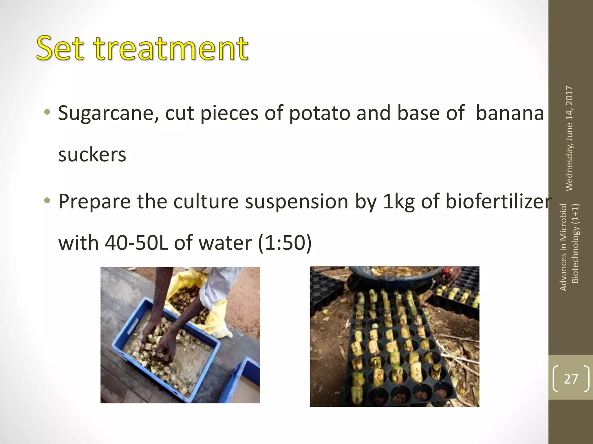 Biofertilizers production and their applications | PPTX