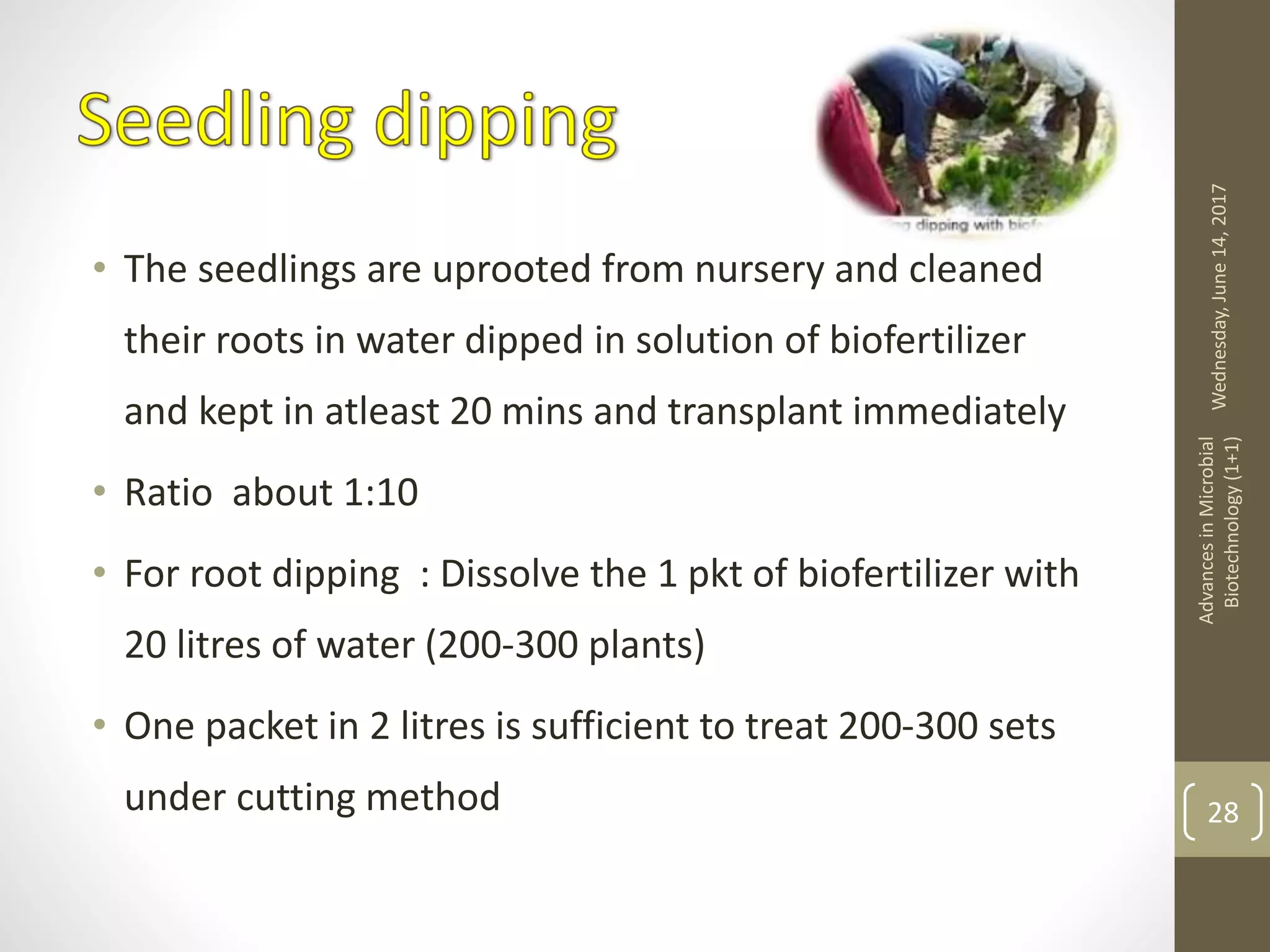 Biofertilizers production and their applications | PPTX