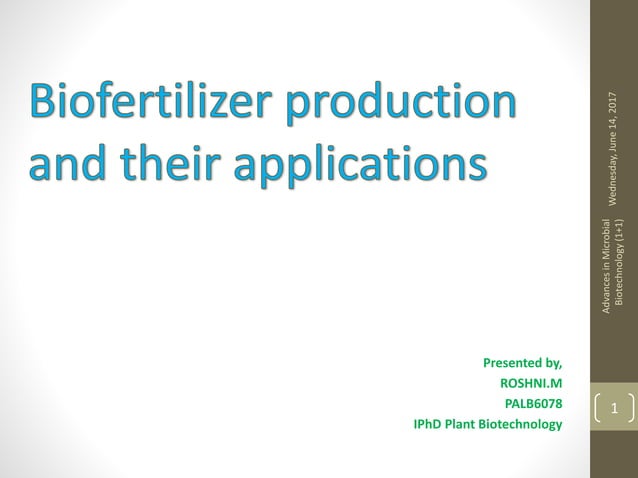 Biofertilizers production and their applications | PPTX
