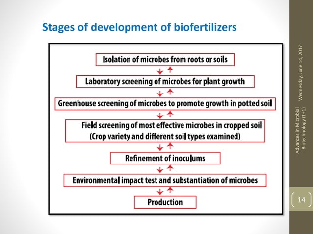 Biofertilizers production and their applications | PPTX