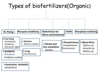 Biofertilizers slide share by ssk | PPTX