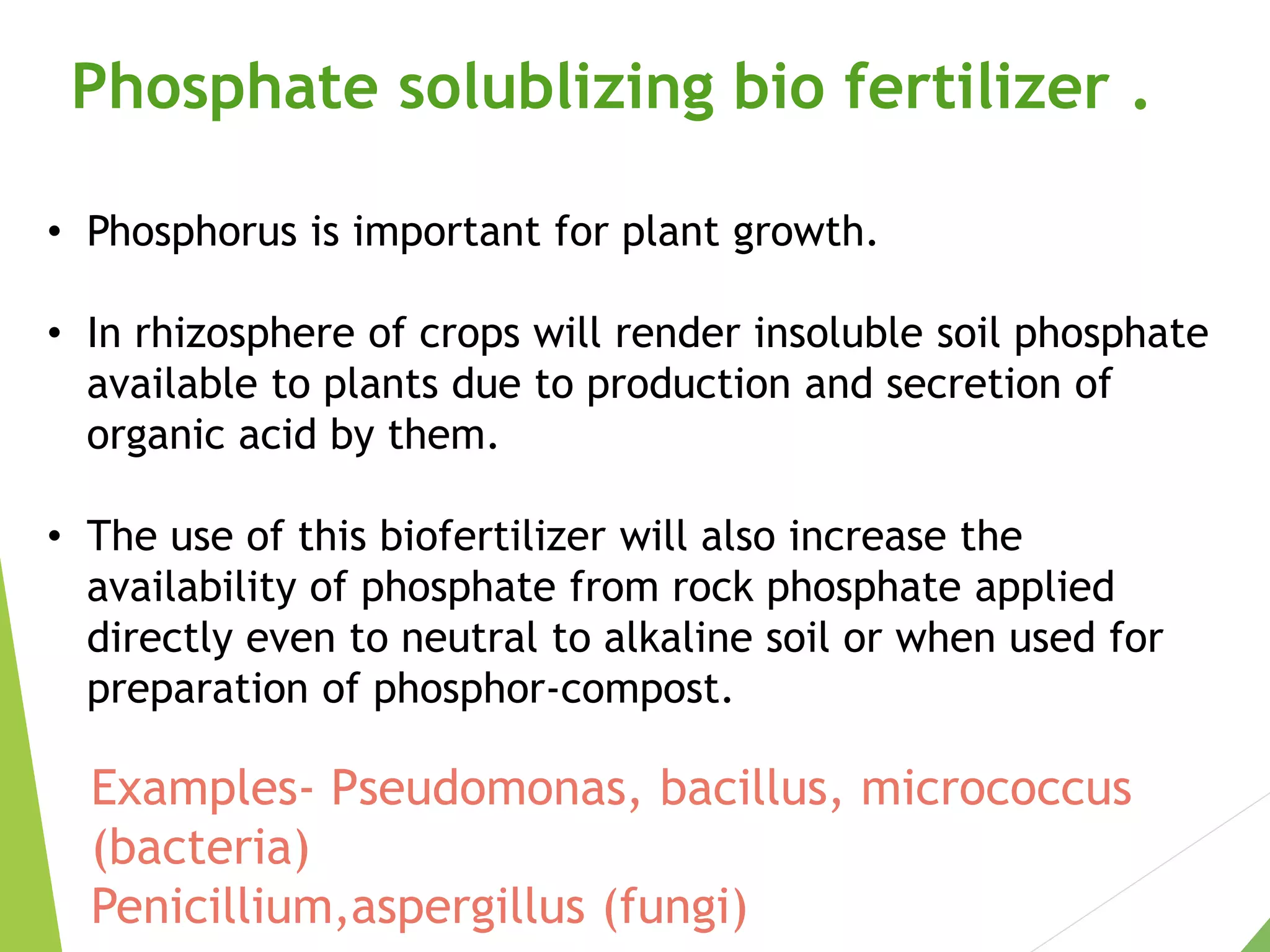 biofertilizervp-190212042148.pptx