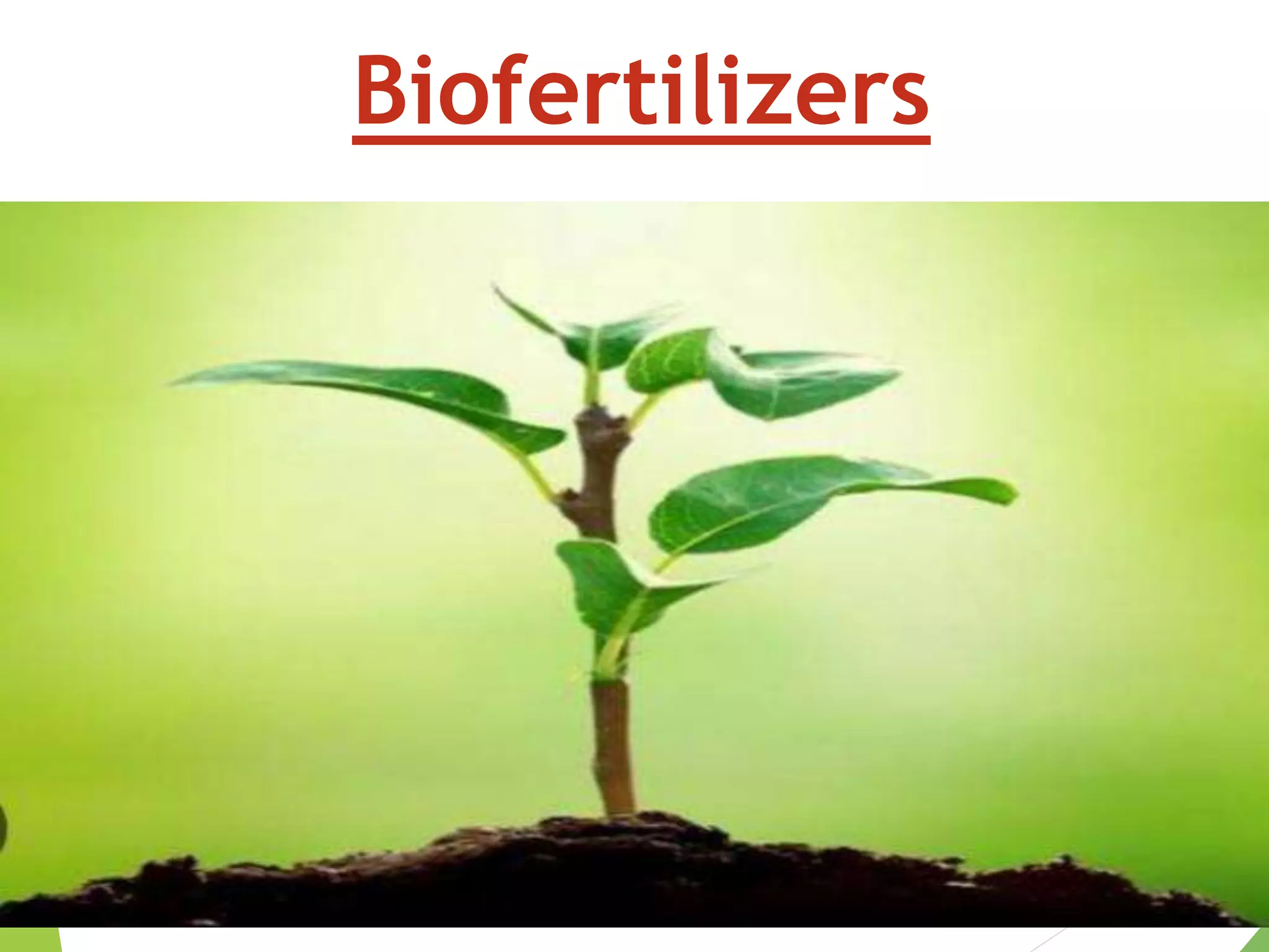 biofertilizervp-190212042148.pptx