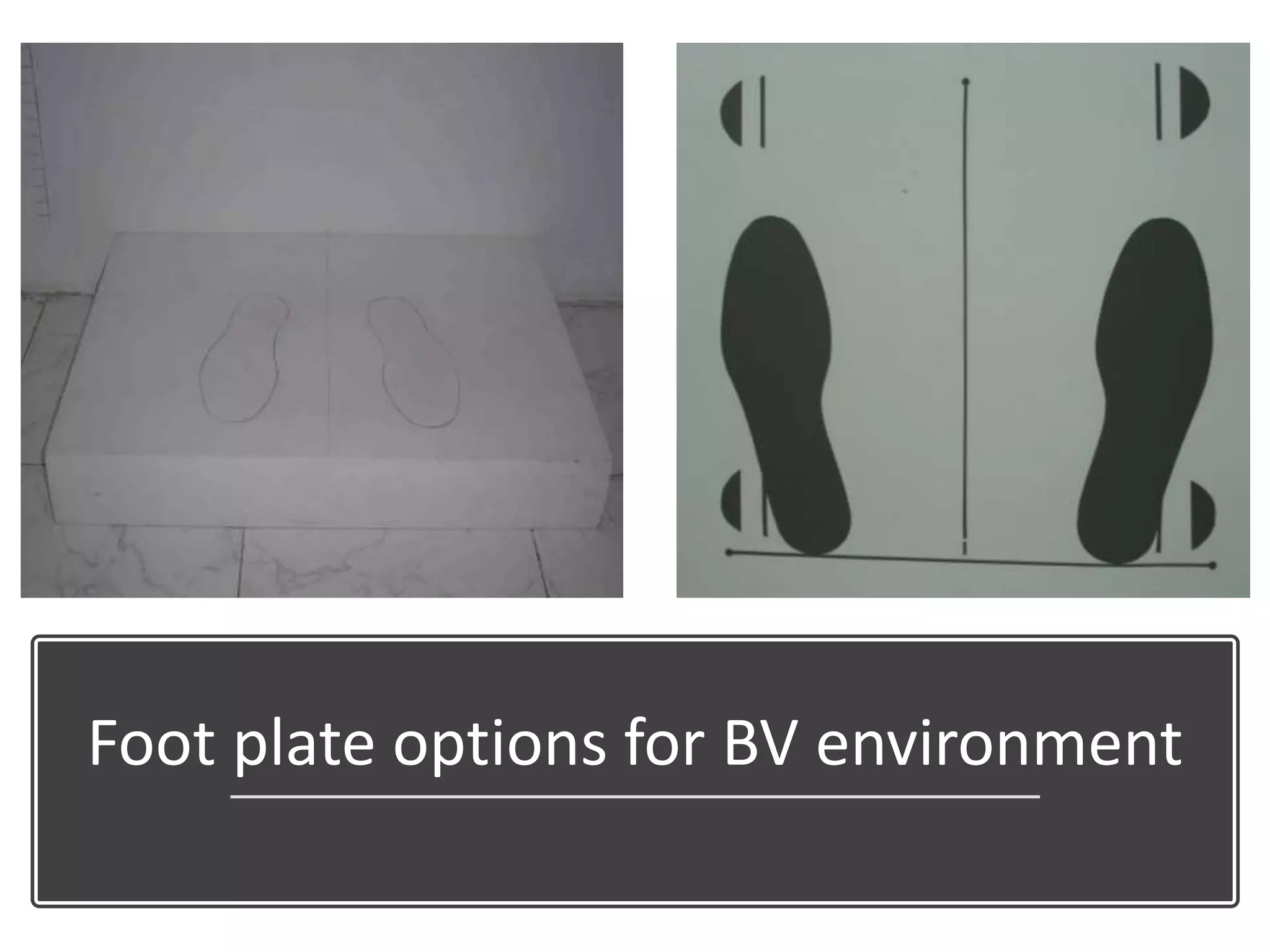 Biofield viewer 3.5 pro environment | PPTX