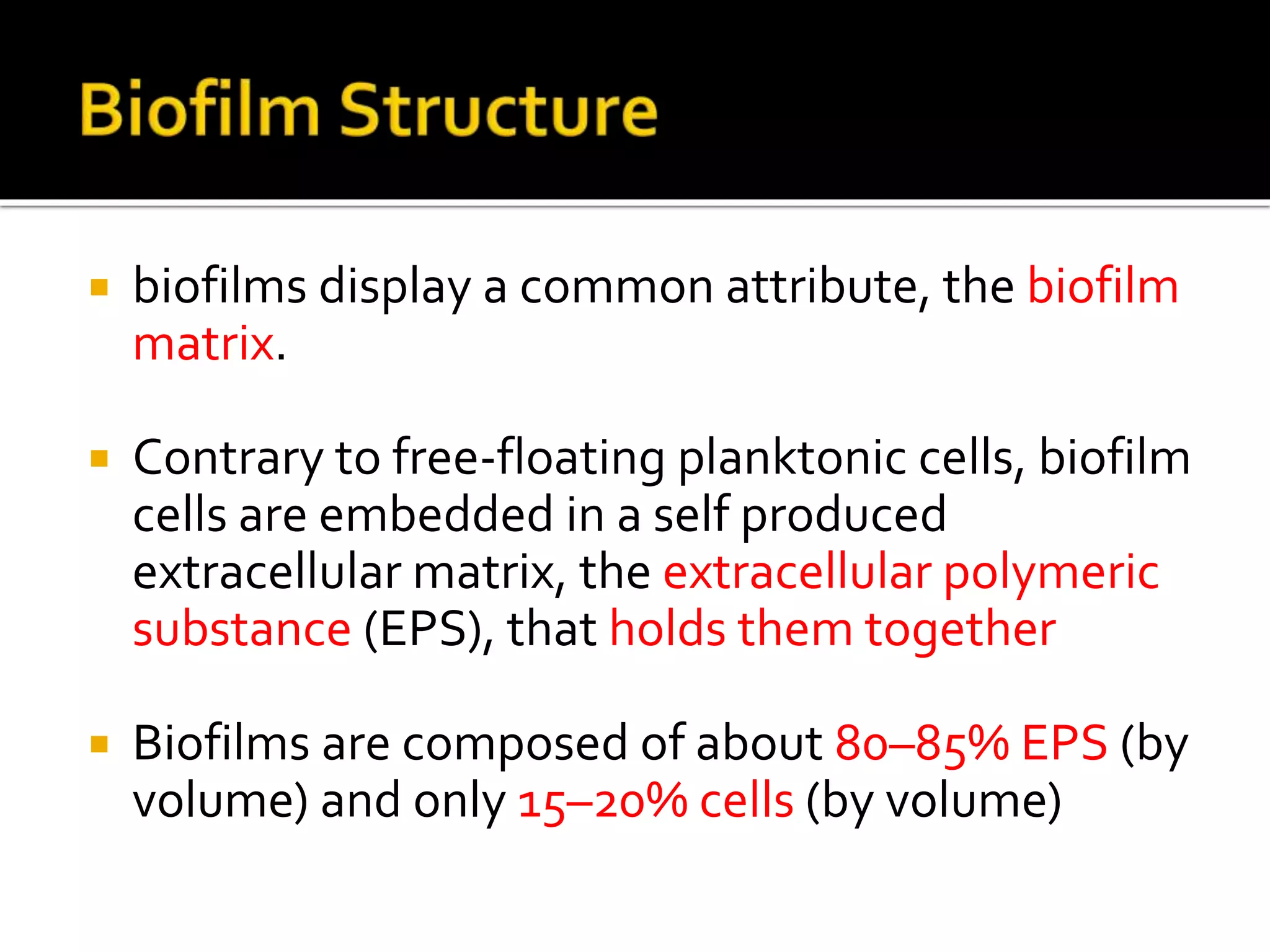 Biofilm | PPTX