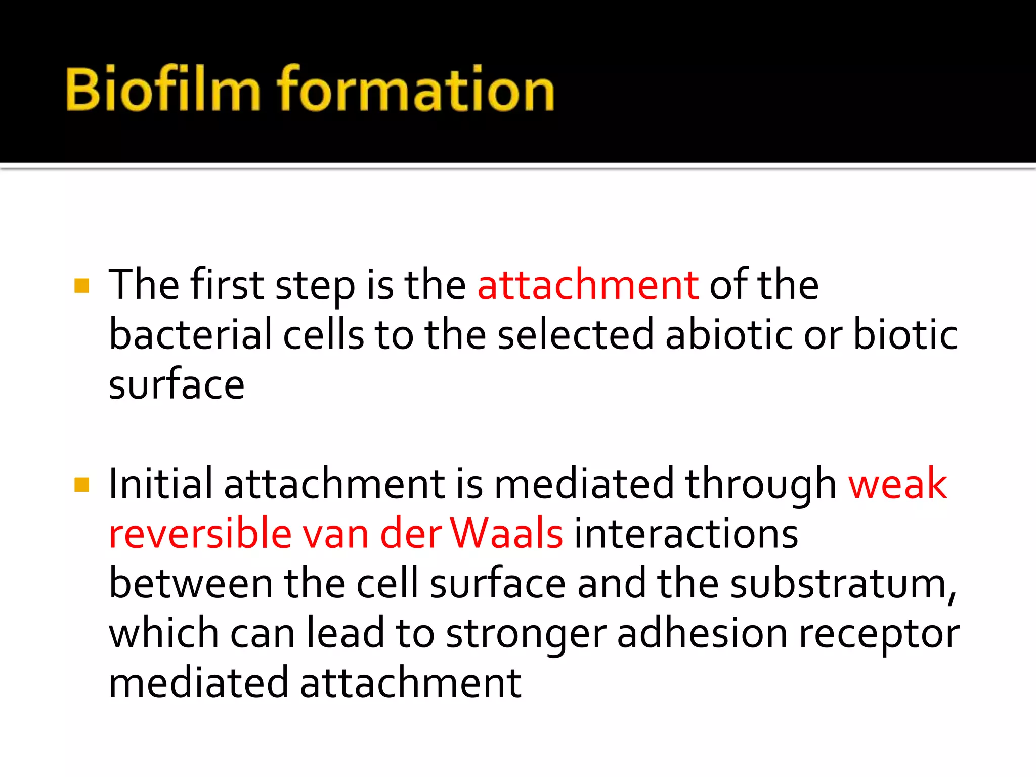 Biofilm | PPTX