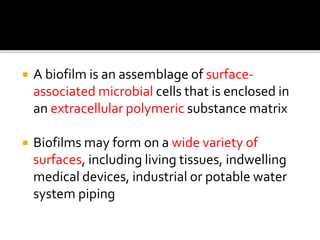 Biofilm | PPTX