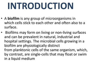 Biofilm | PPTX