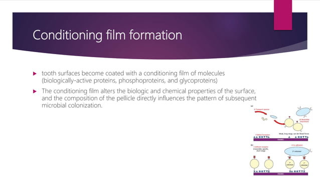 Biofilm | PPT