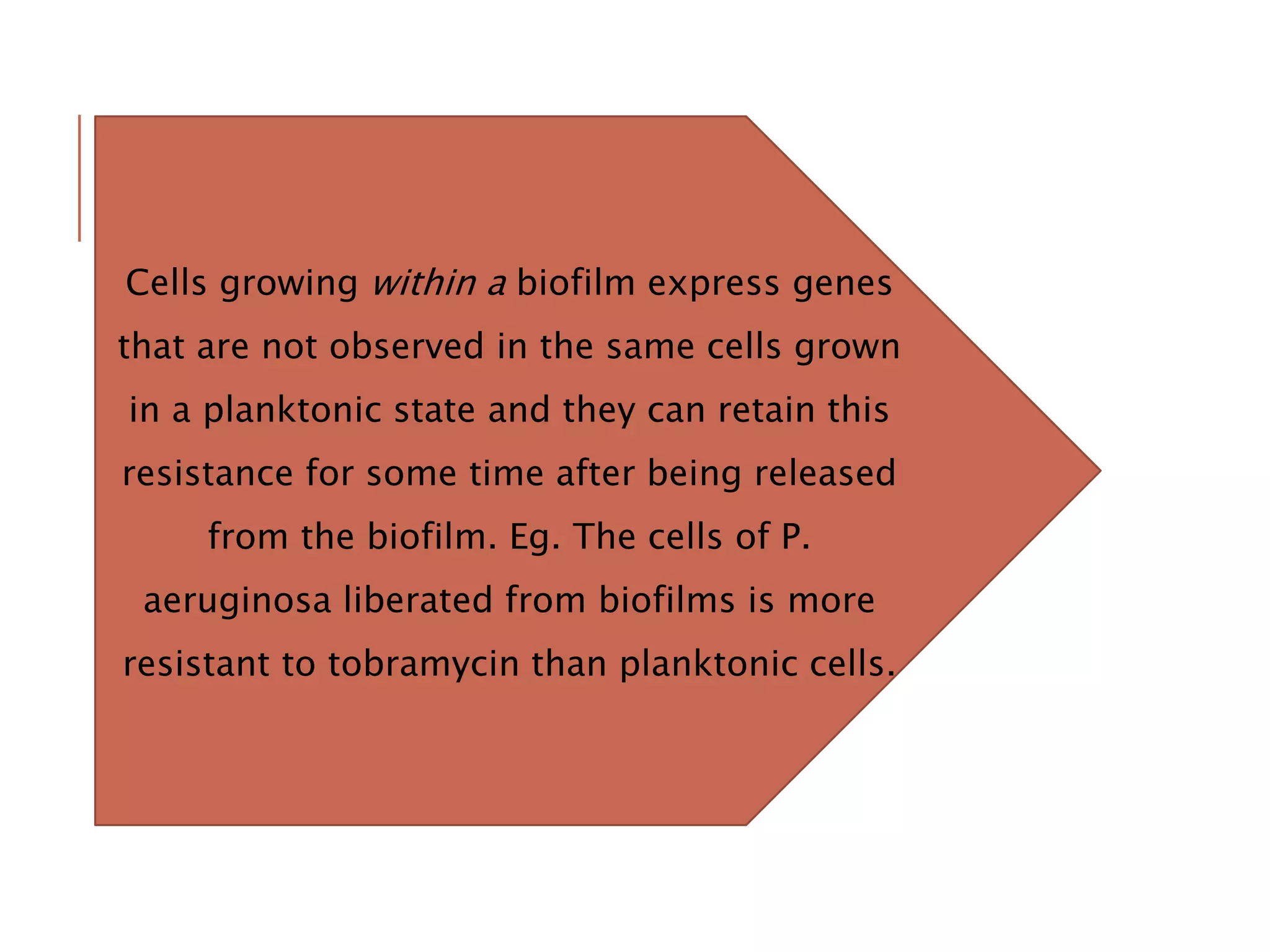 Dental Plaque/Biofilm | PPTX