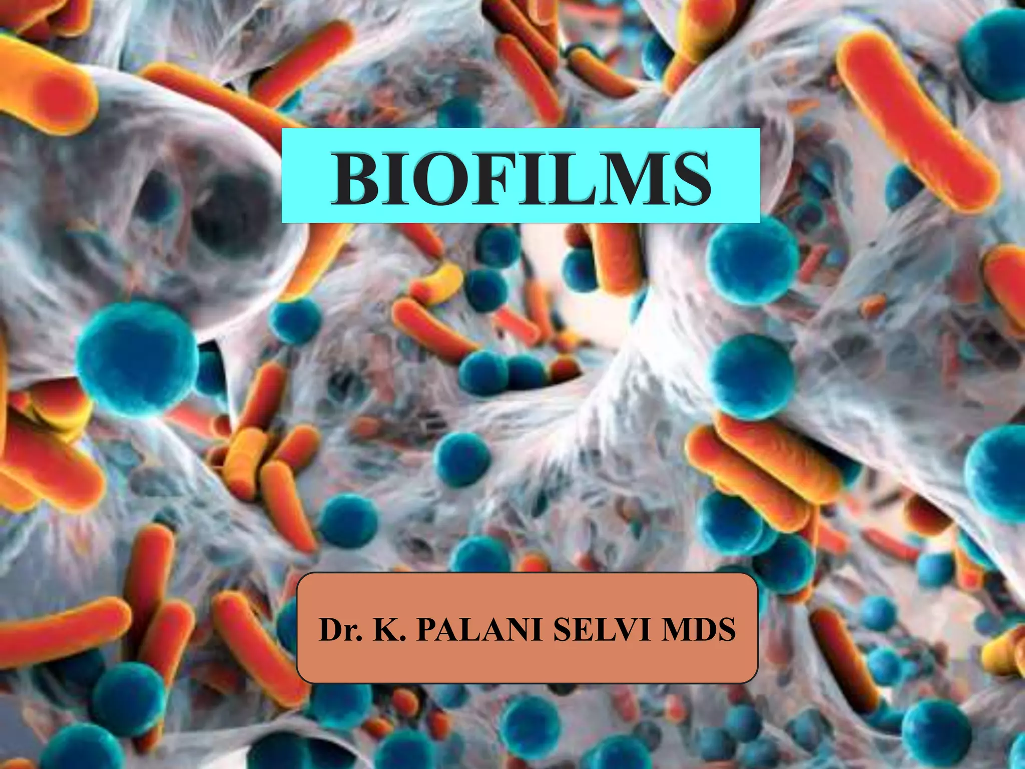 Biofilms | PPTX