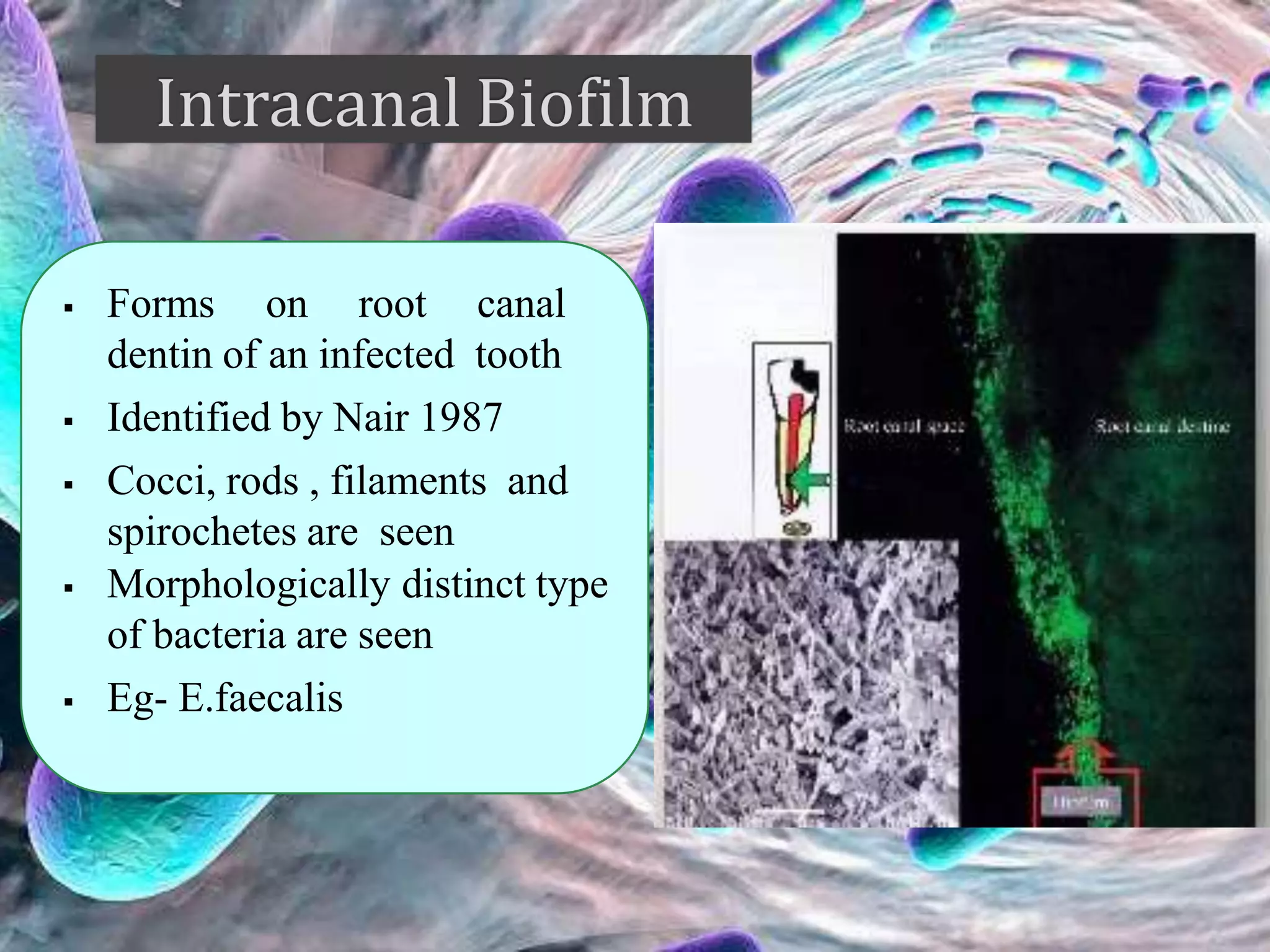 Biofilms | PPTX