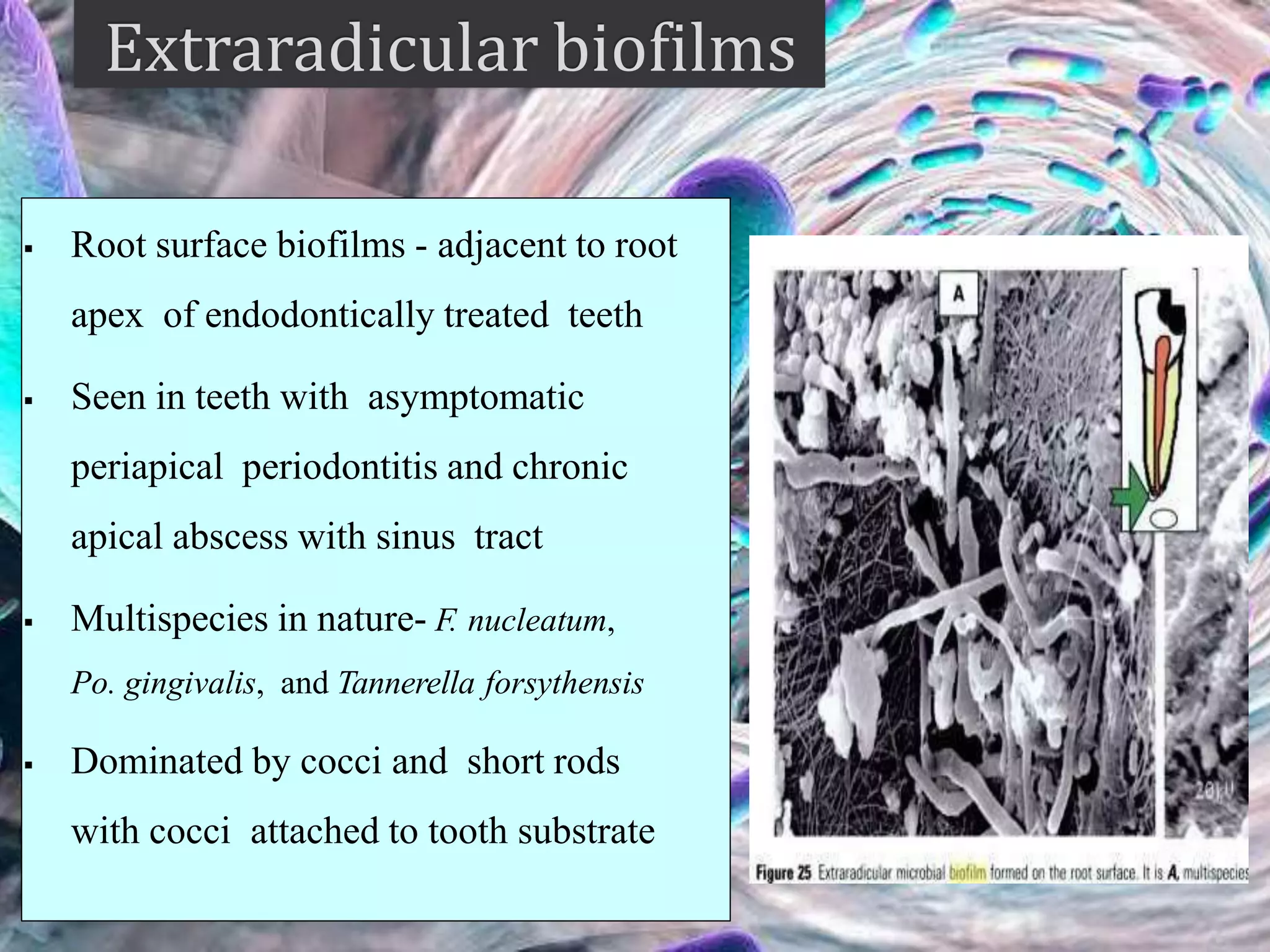Biofilms | PPTX