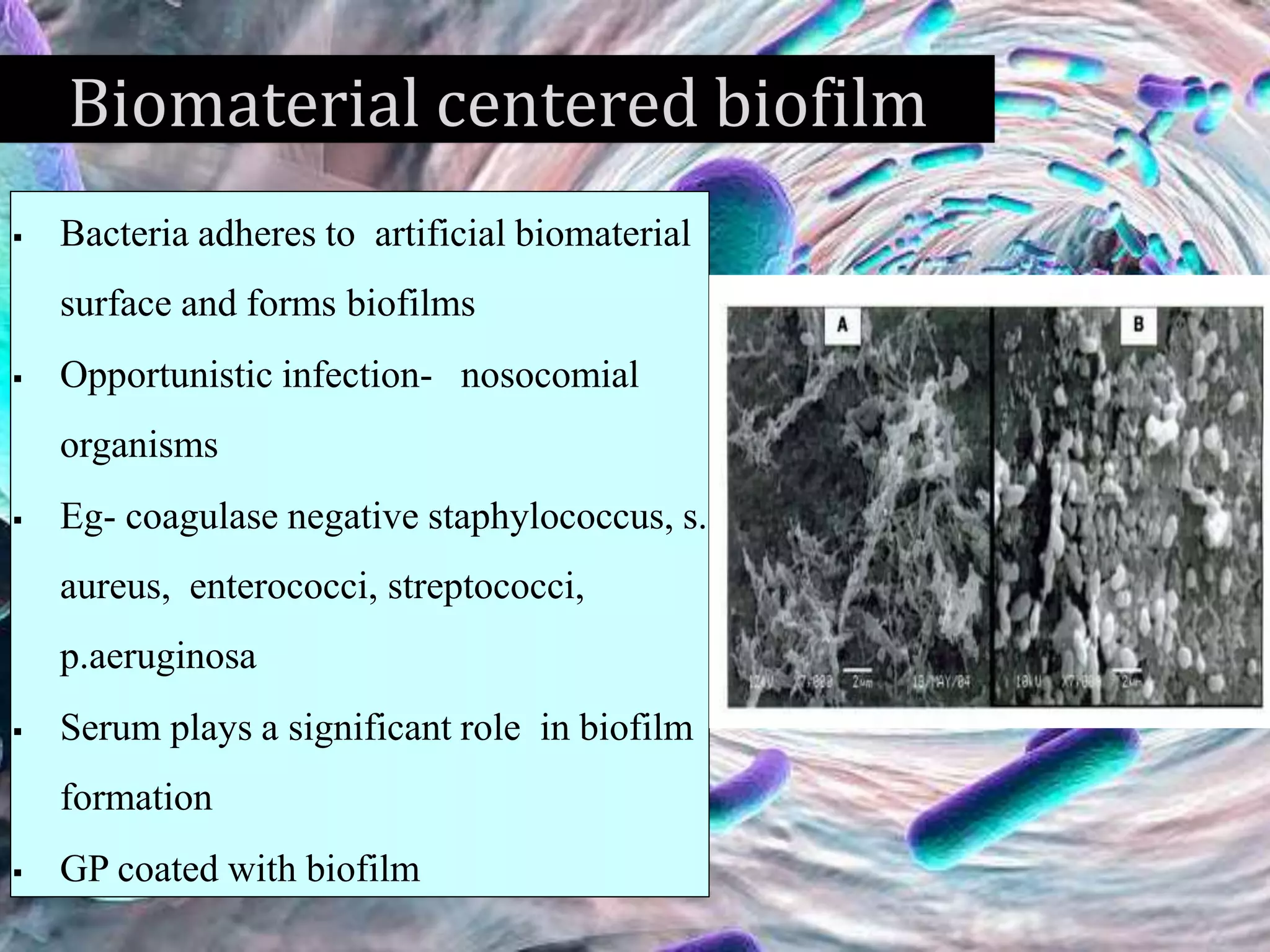 Biofilms | PPTX