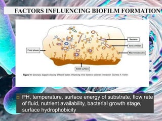 Biofilms | PPTX