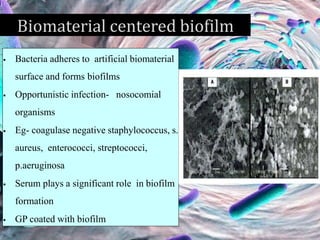 Biofilms | PPTX