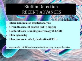 Biofilms | PPTX