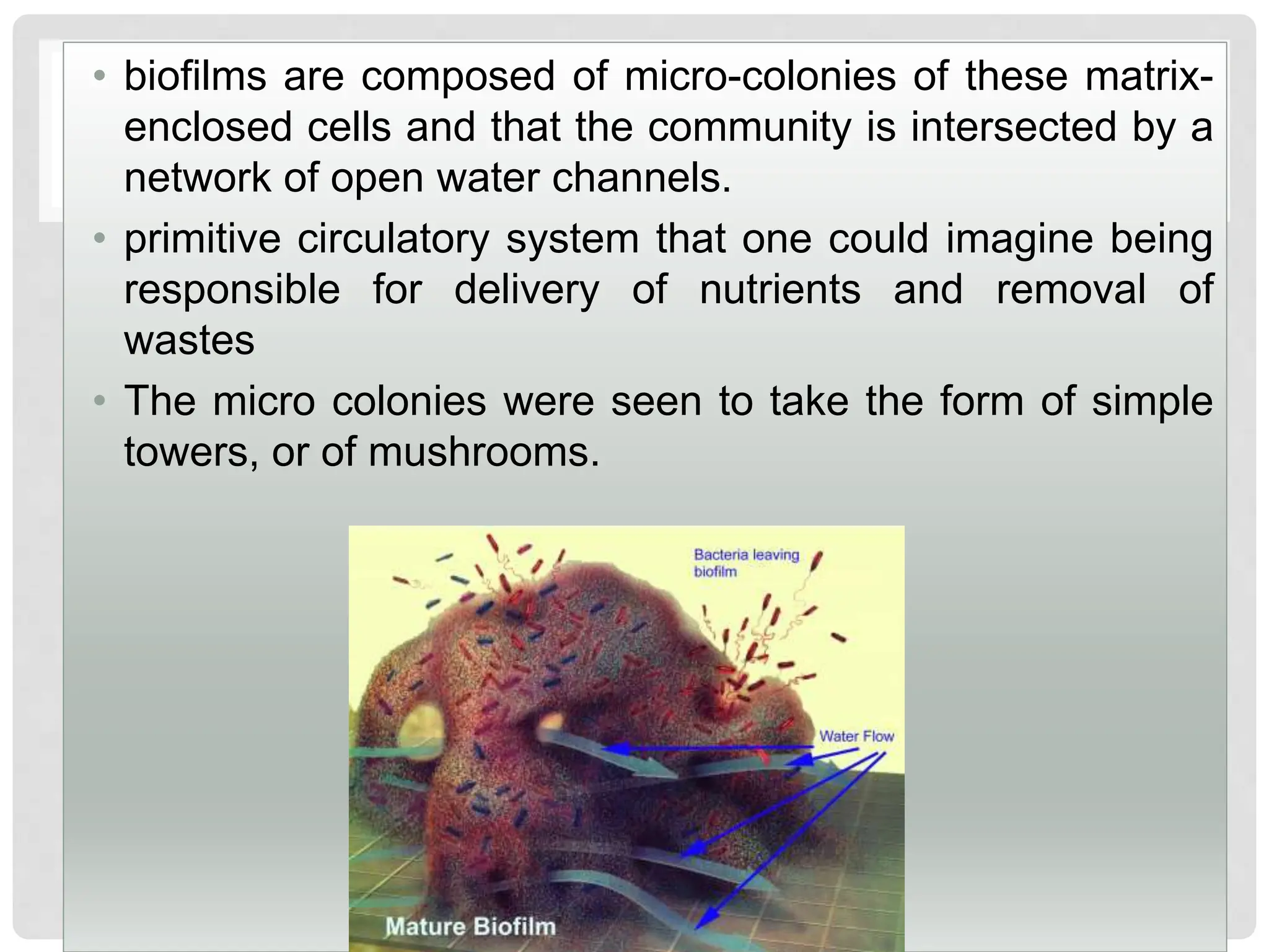 biofilm in periodontics - a tool in diagnosis.pptx